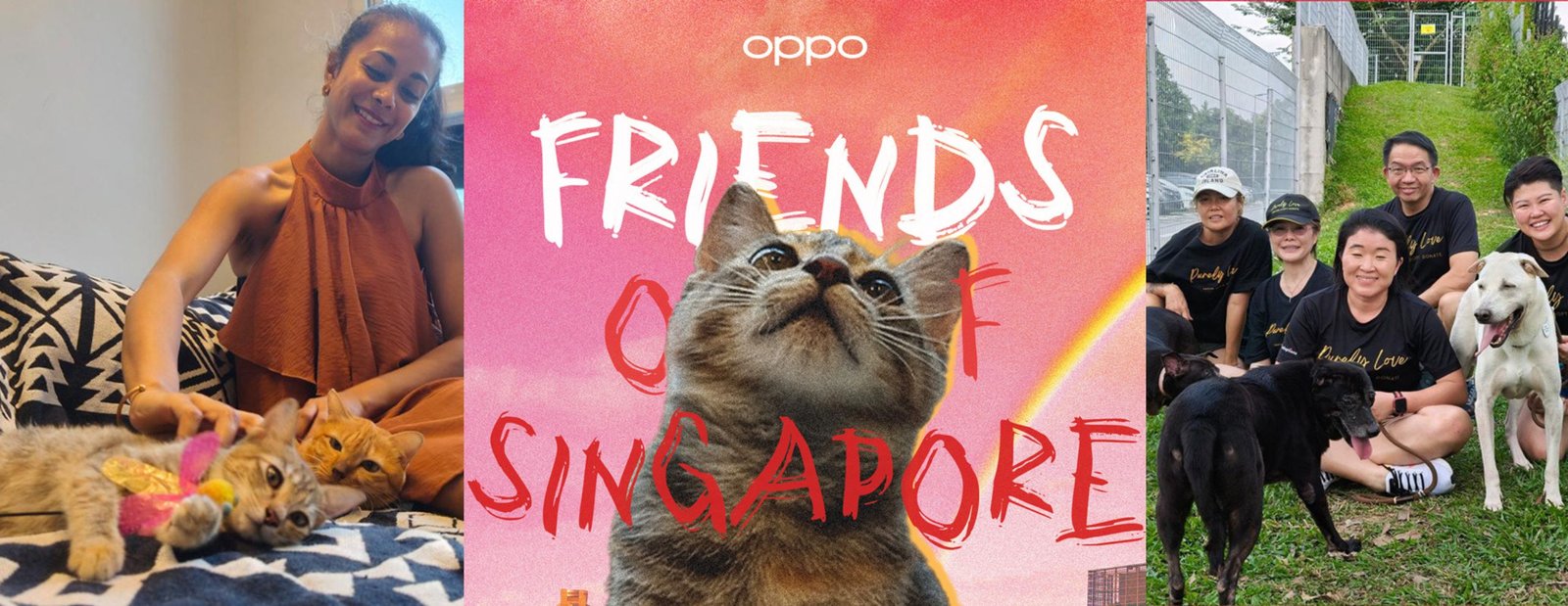 OPPO Singapore teams up with PurelyAdoptions and Cat Welfare Society ...